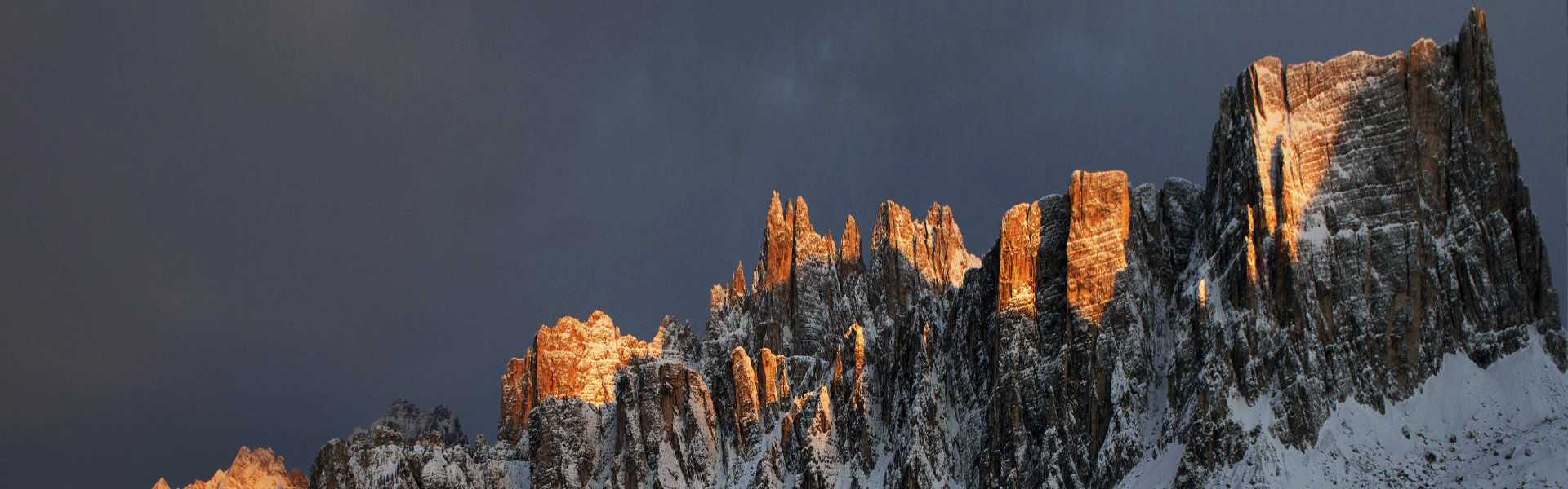 Madd Home online kaufen | Sportler.com