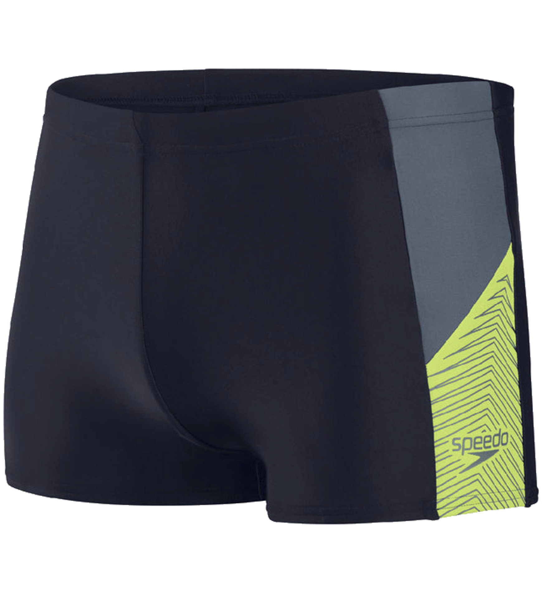 Speedo Dive Asht AM - costume - uomo | Sportler.com